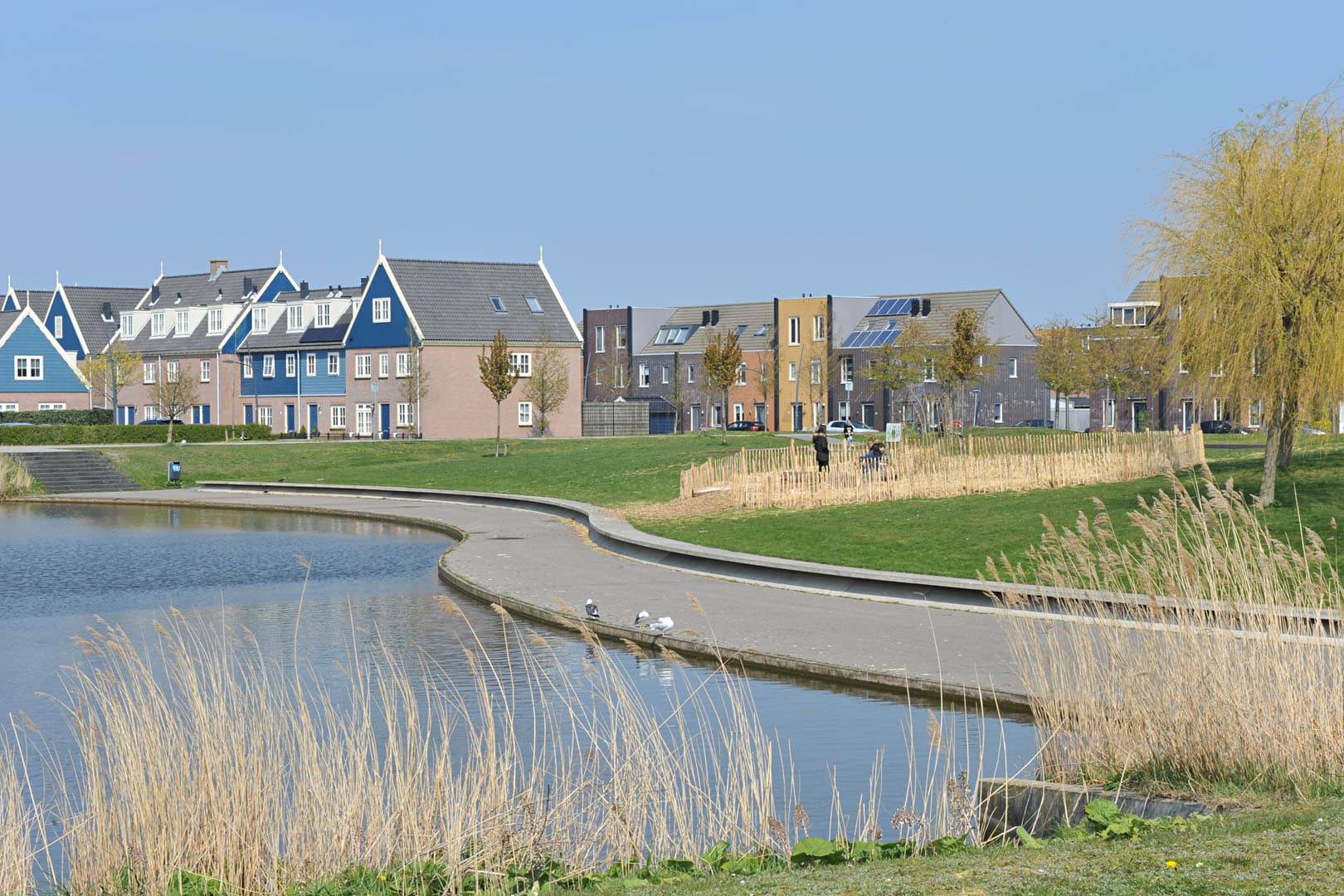Vergroenen Saendelft-West – Gemeente Zaanstad